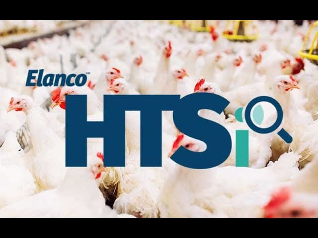 Gonzalo Matute de Elanco analiza a fondo las posibilidades del HTSi ...