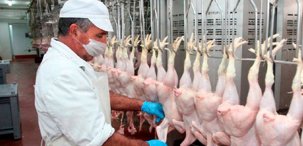 Peru: Se pone en marcha primera fase del sistema de trazabilidad para ...