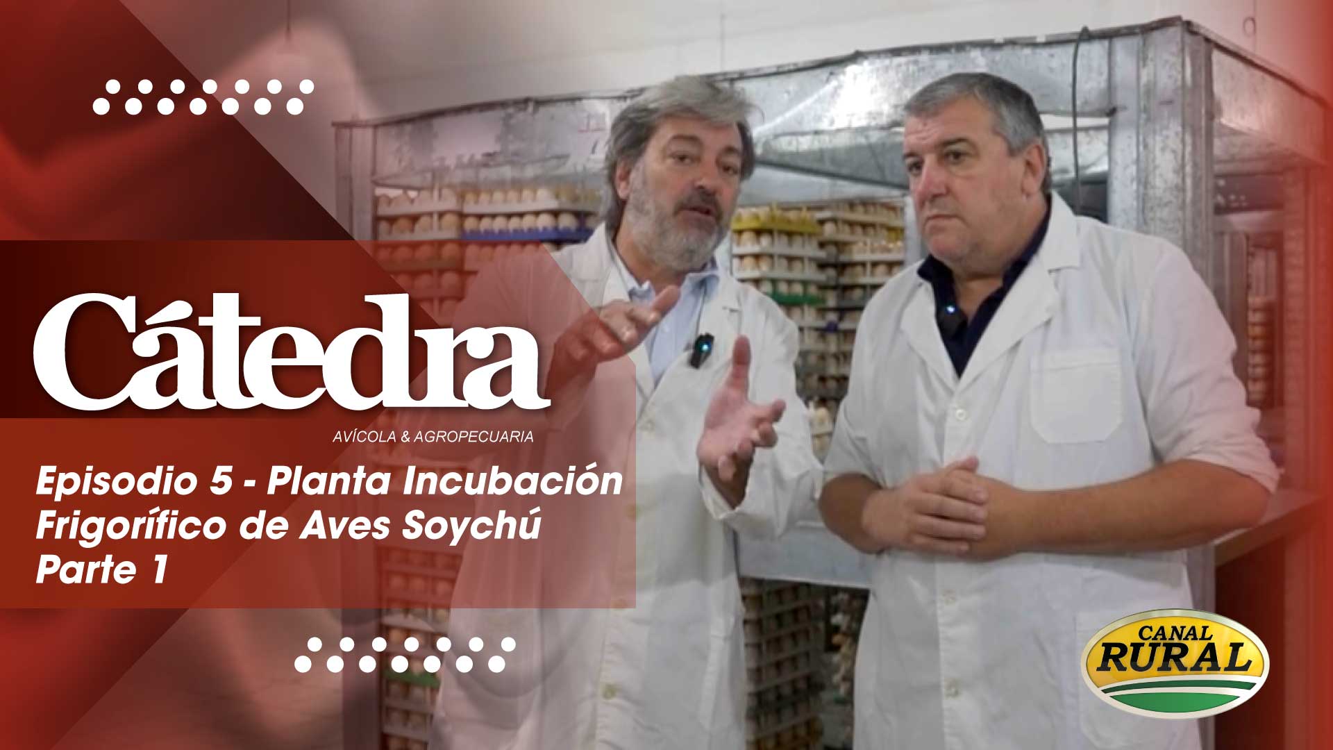 Cátedra Avícola - Episodio 5 - Visitamos la planta de incubación de ...