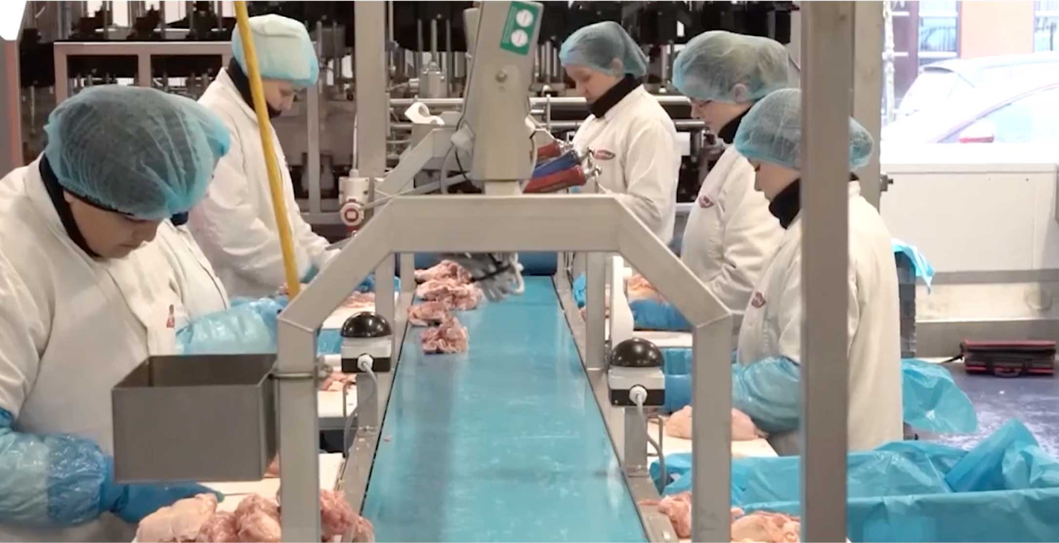 Cátedra Avícola - Episodio 15 – Caso de éxito: Foodmate Ultimate en ...